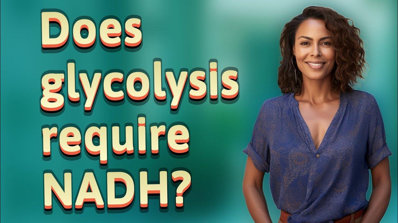 Does Glycolysis Require Nadh Youtube