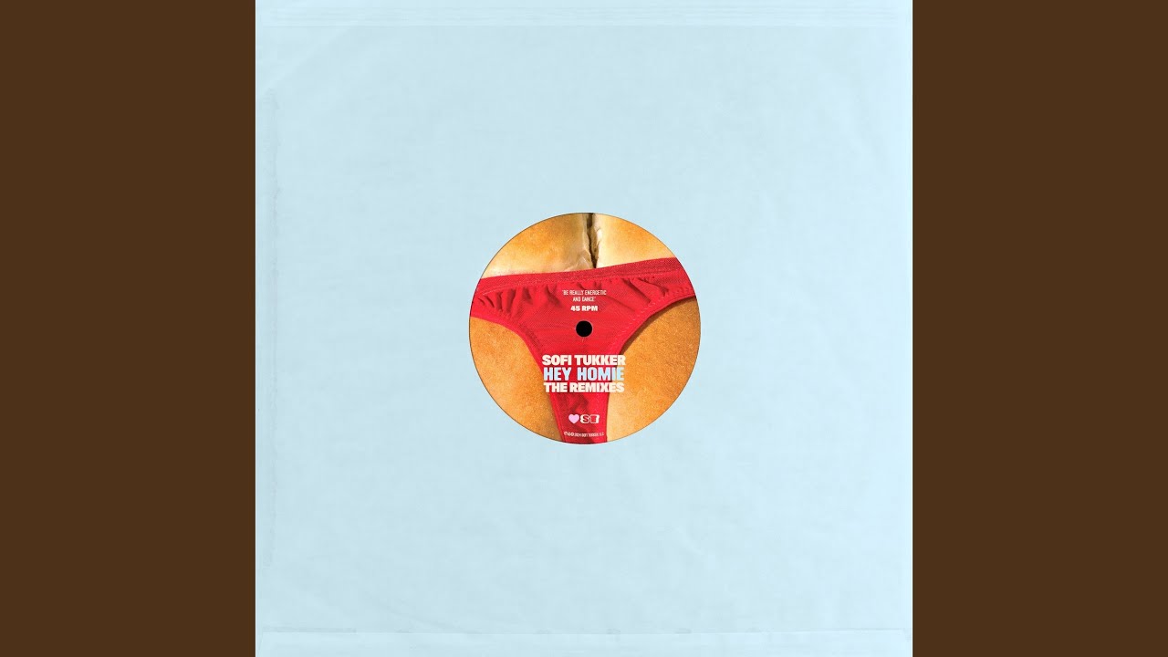 Hey Homie (Troyboi Remix) - Sofi Tukker & TroyBoi: Song Lyrics, Music ...