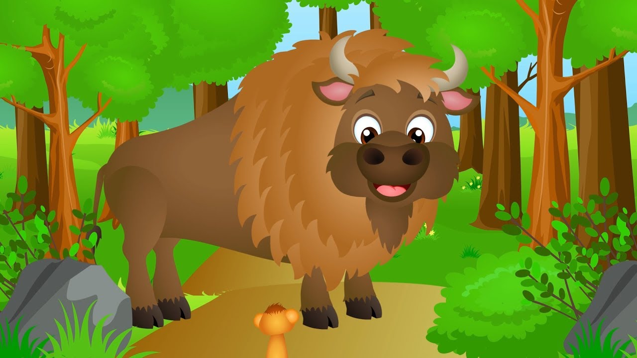 Las i jego mieszkańcy - 123 Edukacja - YouTube