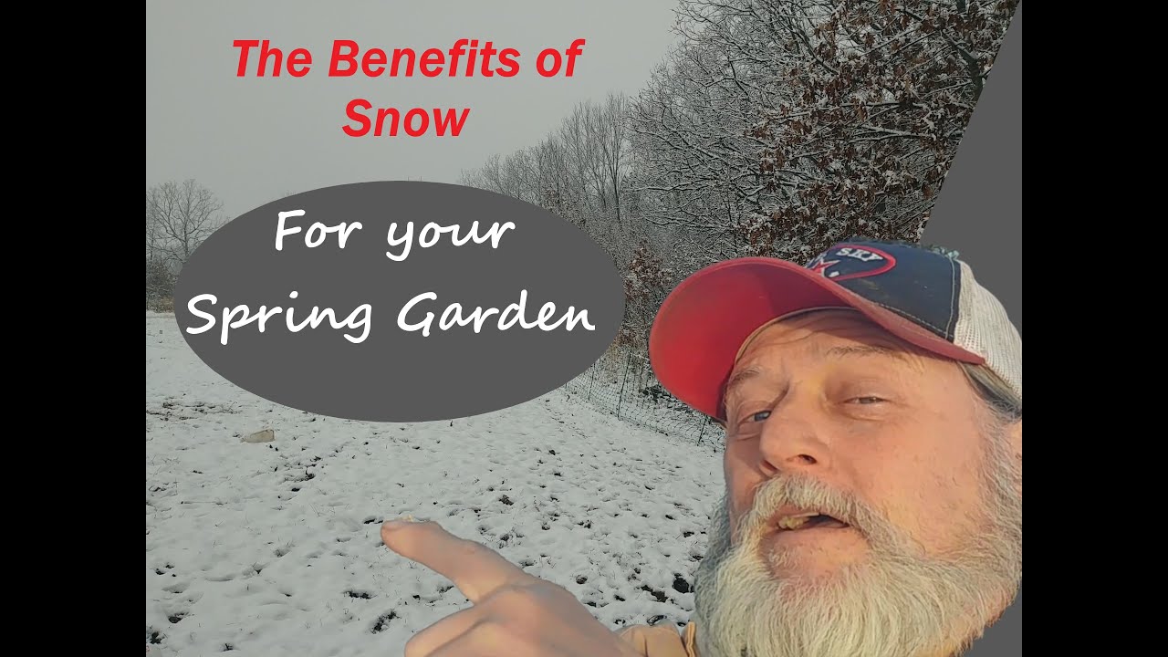 Benefits of Snow - YouTube