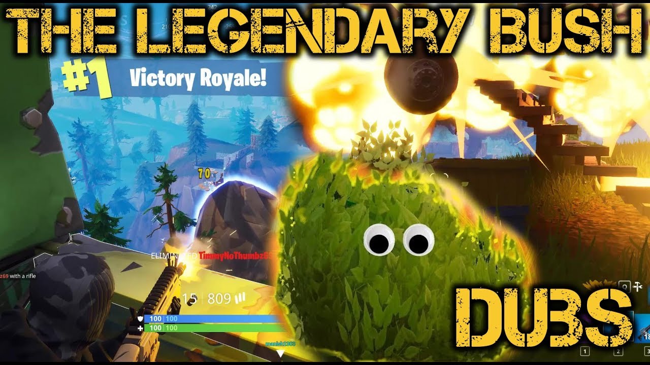 The Legendary Bush DUBs - Fortnite Battle Royale Gameplay - YouTube
