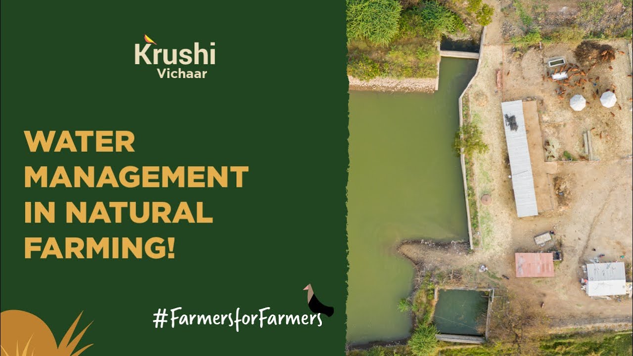 How would you go about water management at the farm | Two Brothers ...
