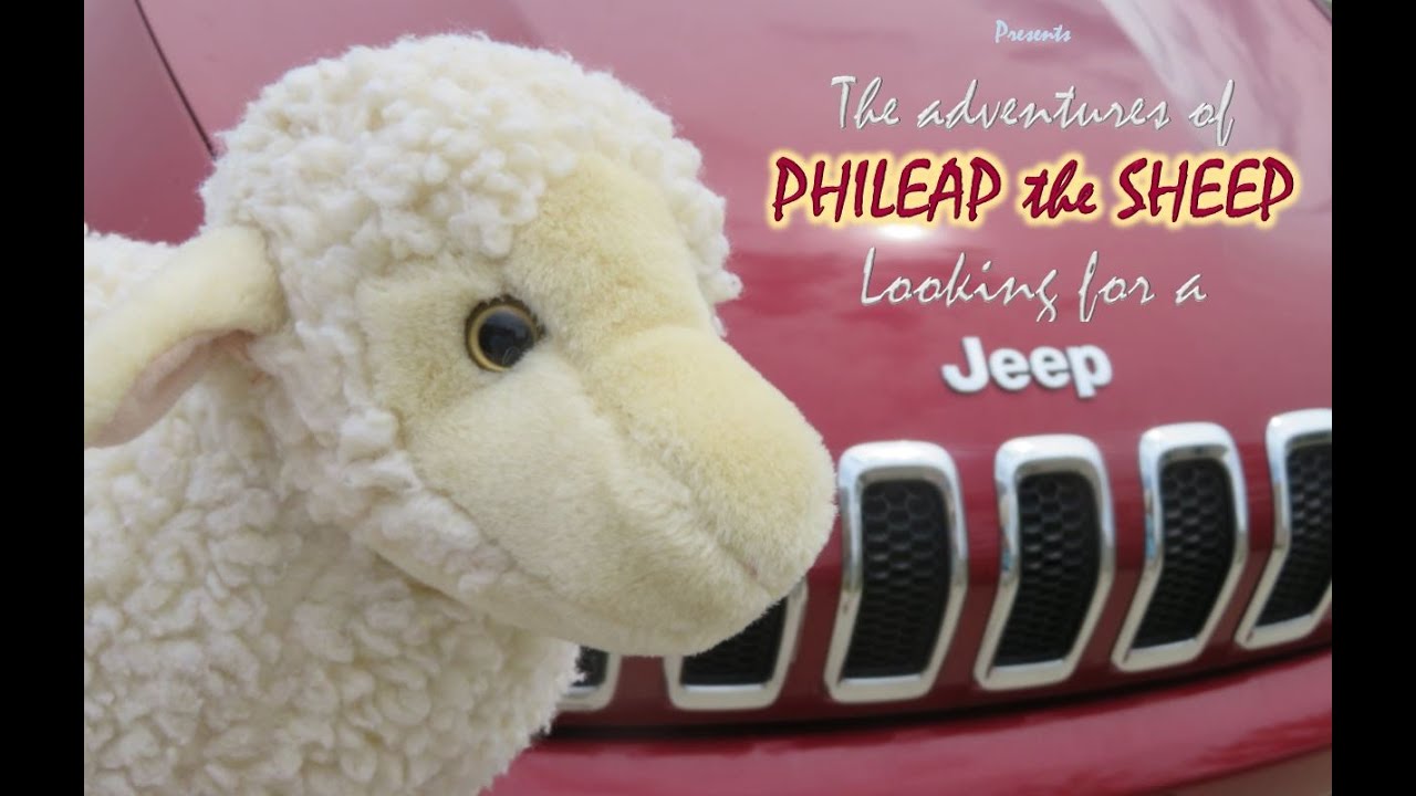 Sheep in a Jeep - YouTube
