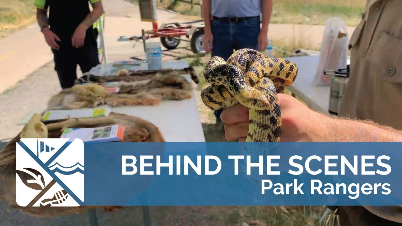 Behind the Scenes with our Park Rangers - YouTube