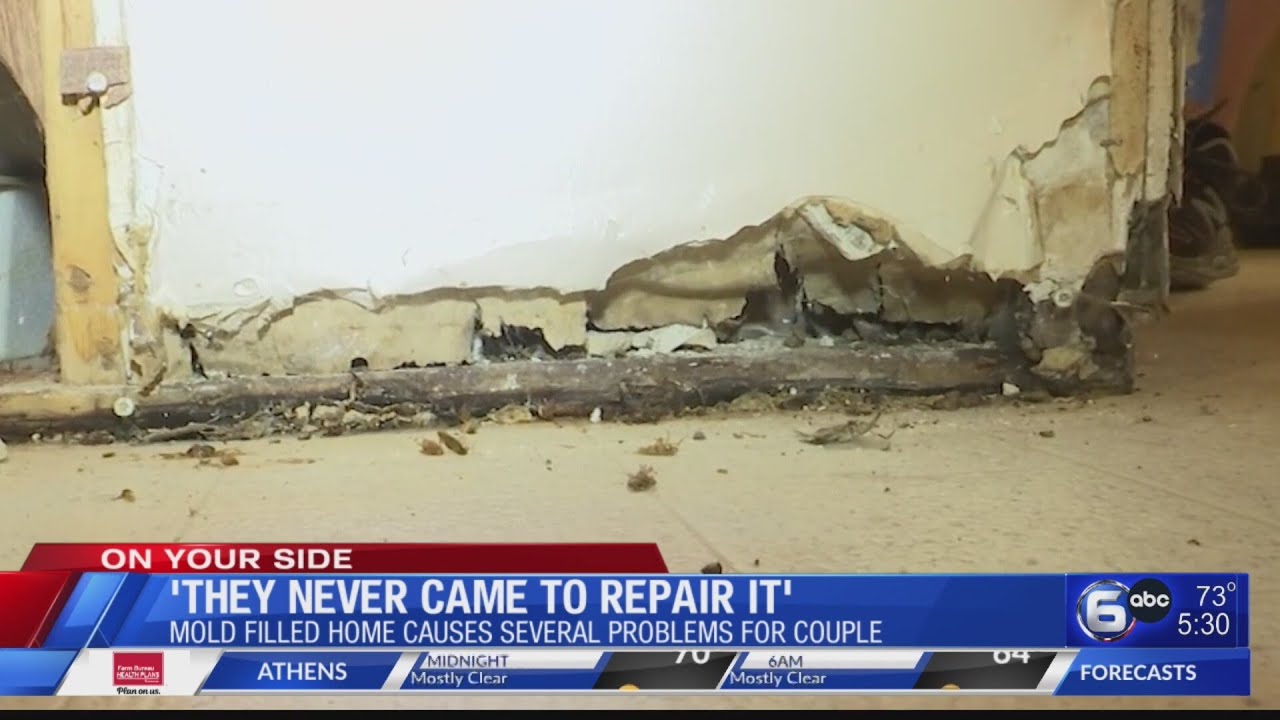 Mold filled home causes several problems for Sevierville couple - YouTube