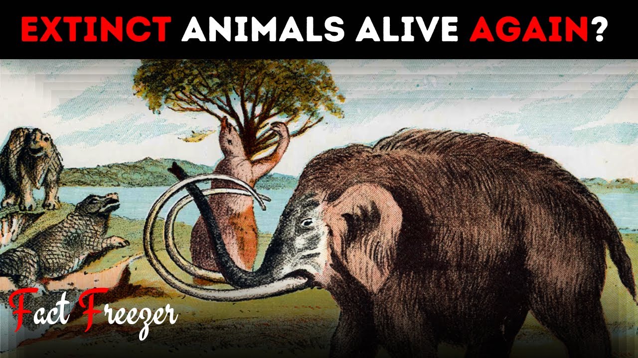How Science Could Make These 6 Extinct Animals Live Again - YouTube