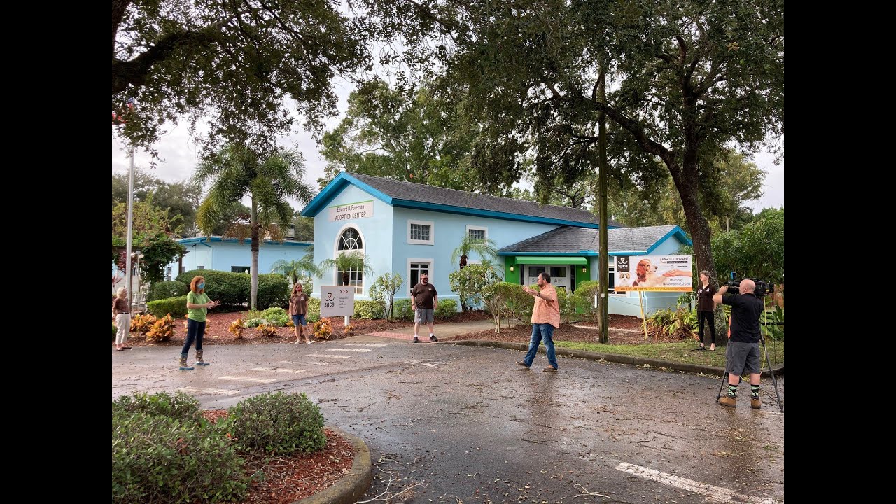 SPCA Tampa Bay is a "For-All" Shelter in Florida - YouTube