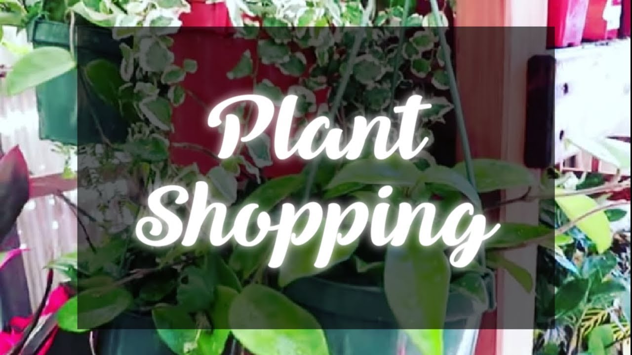 LA Plant Trip | December 2019 - YouTube