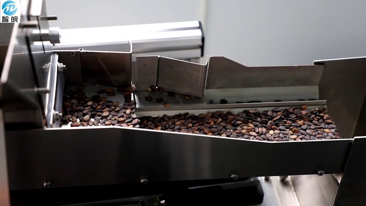 The one watermelon seed vision & counting packing machine - YouTube