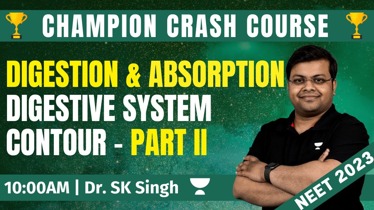 Digestive System Contour - Part 2 | CHAMPION CRASH COURSE | NEET 2023 ...