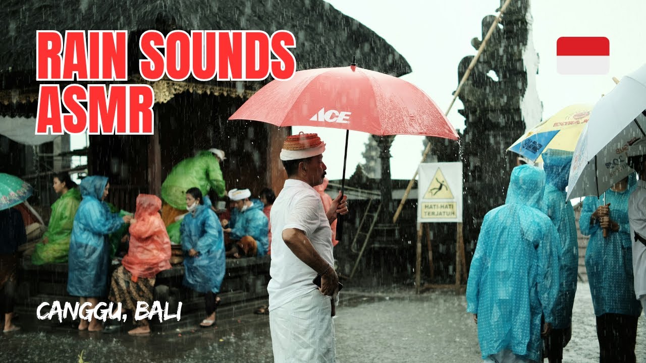 BALI WEATHER today ⛈️ Sounds of morning rain #balifloods - YouTube
