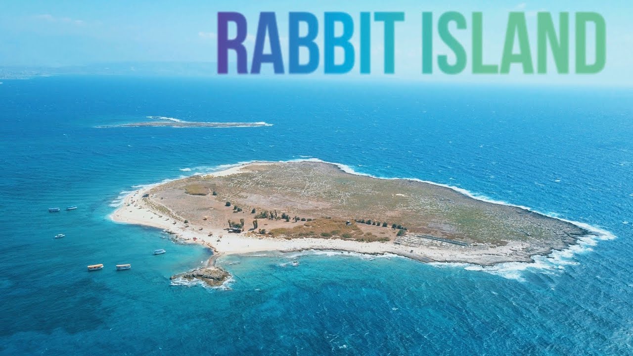 Rabbit Island Lebanon - YouTube