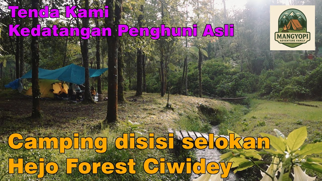 #camping #family Camp Ceria di Hejo Forest Ciwidey - YouTube