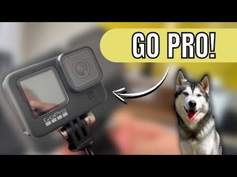 GUDAN O HUSKY USANDO A GOPRO HERO 9!!!