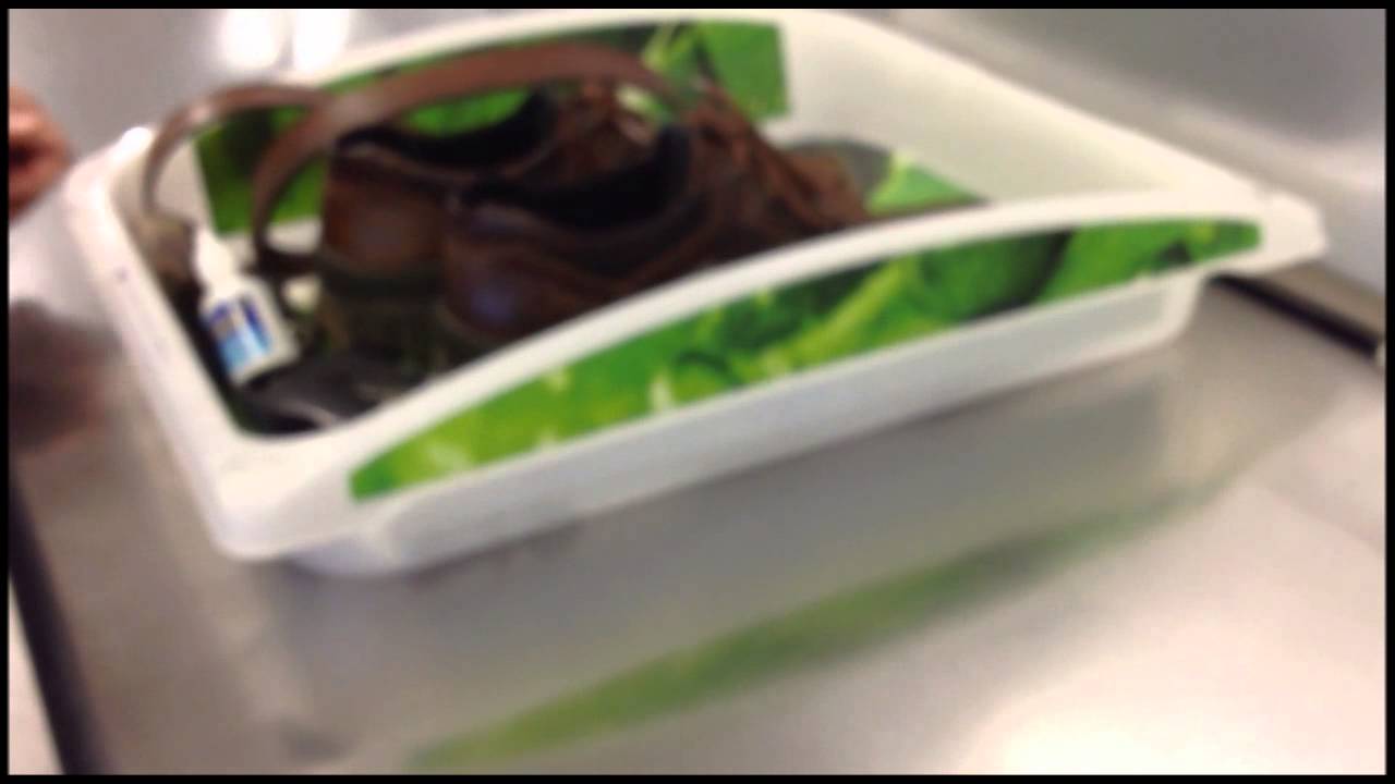 DFW Airport's security checkpoint aims to relax travelers - YouTube