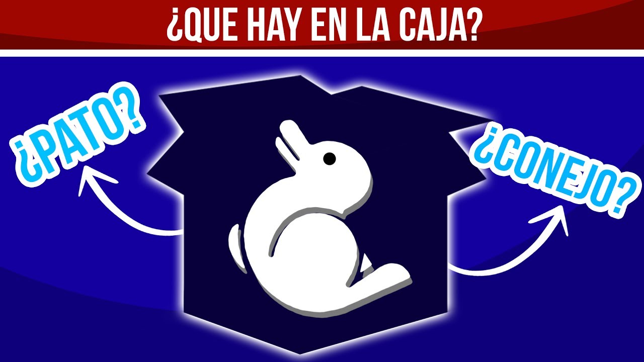 QUE FIGURA ES: 🐦¿PATO O CONEJO?🐇 - YouTube