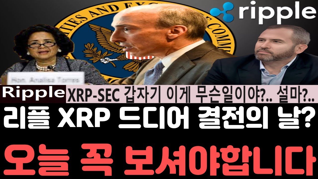 리플전망 리플 Sec Xrp 갑작스레 공개된 소식 알트코인 드디어 결전의 날 오늘 영상은 꼭 보셔야합니다 리플전망 리플호재 리플급등 리플코인 리플소송