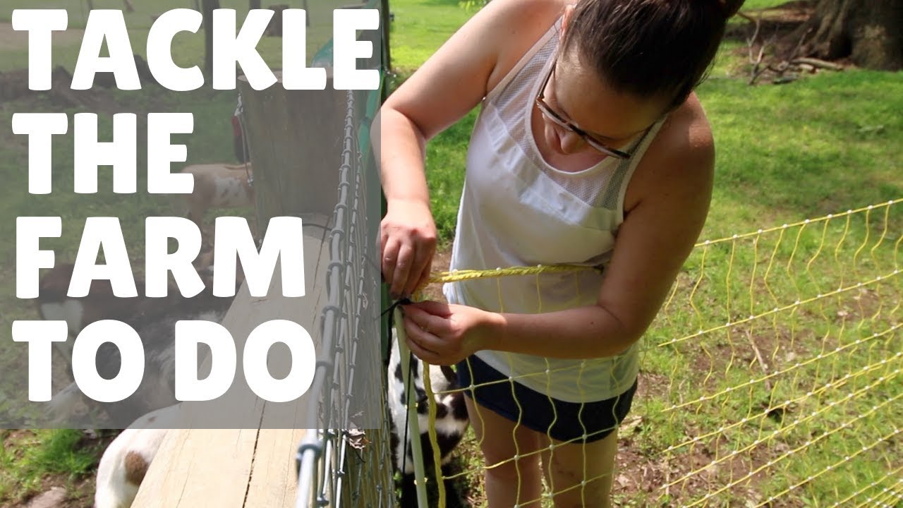 Tackling The Farm To Do List YouTube tackling-the-farm-to-do-list-youtube