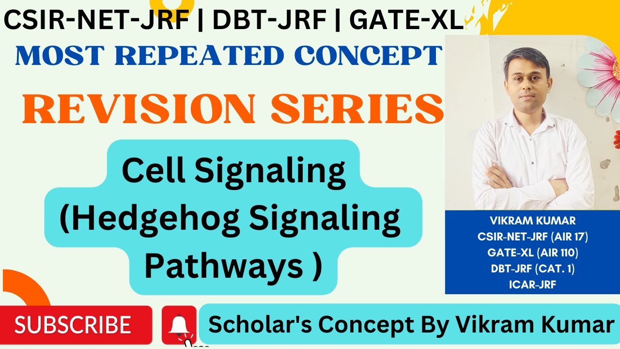 Hedgehog Patched Signaling Pathway | Smoothened and Patched Receptor ...