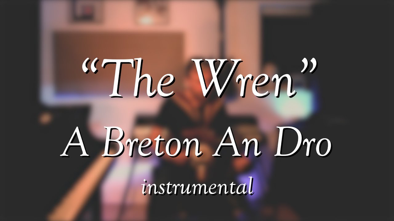 "The Wren" (An Dro) - A Traditional Breton dance Tune - YouTube