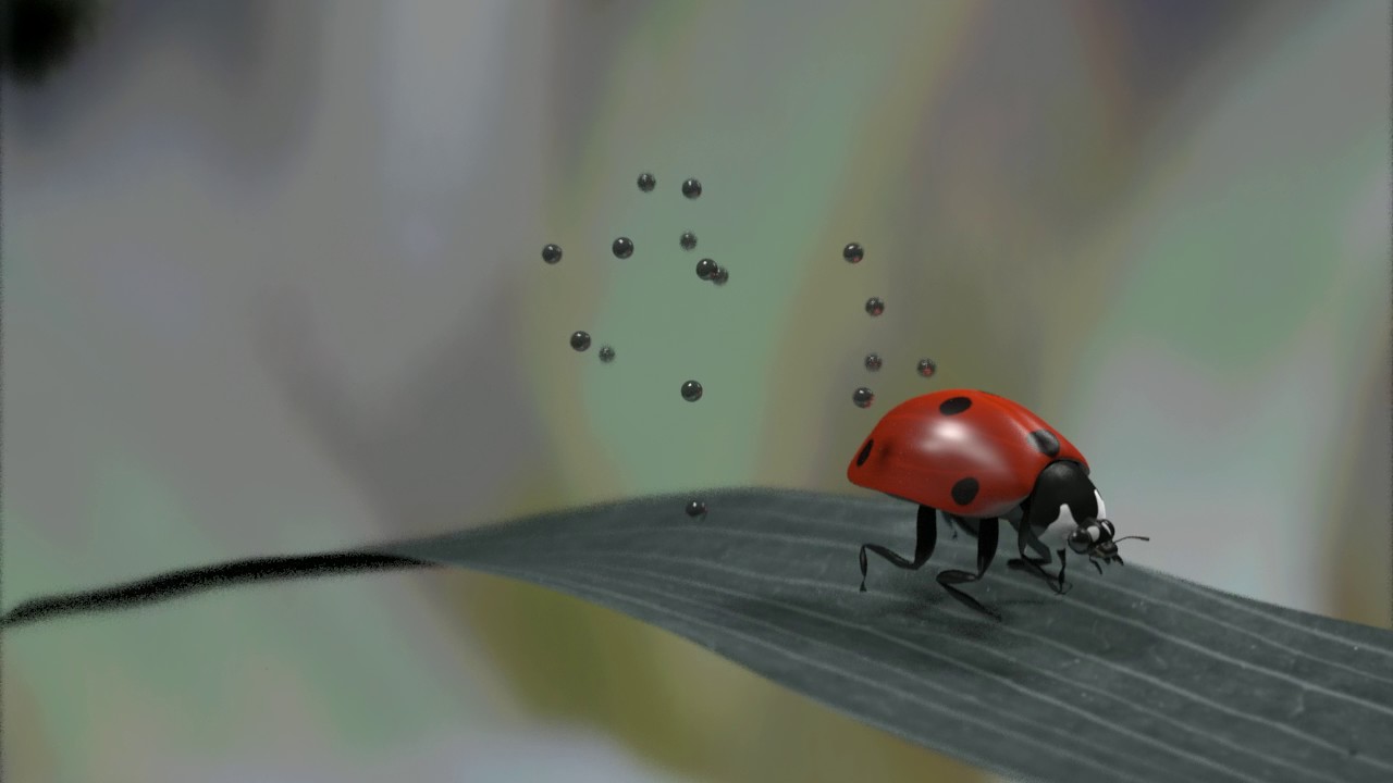 Ladybird Animation - YouTube