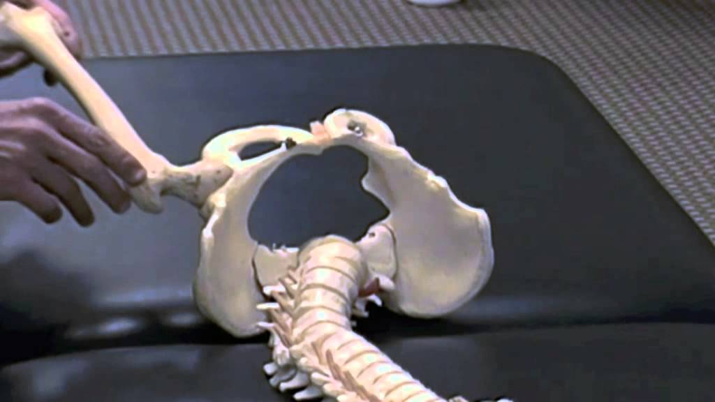 4 flexion internal rotation test - YouTube
