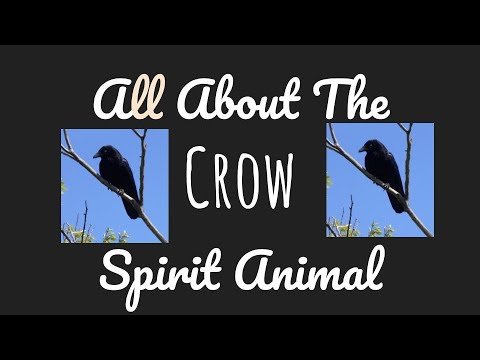 🌹🌙 THE CROW SPIRIT🌙🌹Spirit Animal Symbolism - YouTube