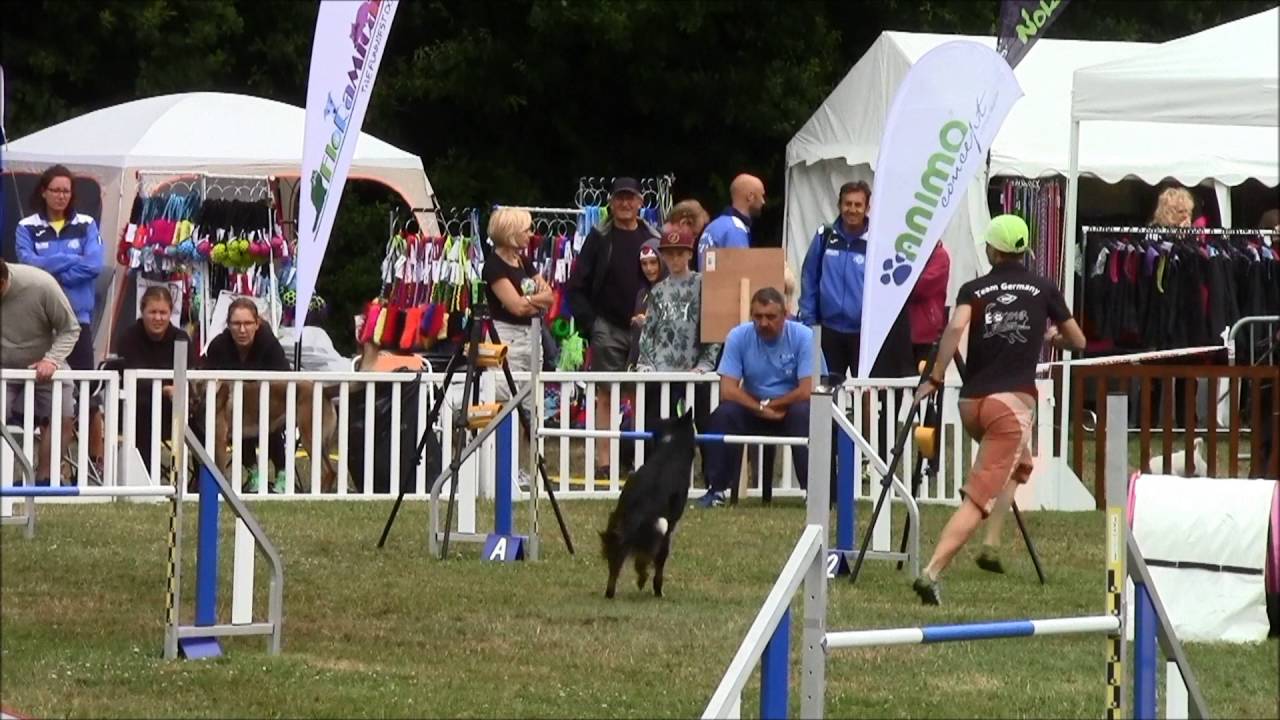 Agility European Open 2016 - YouTube