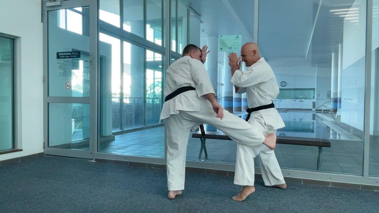 A Couple Of Inside Thigh Kick Counters. Kyokushin Karate Training with ...