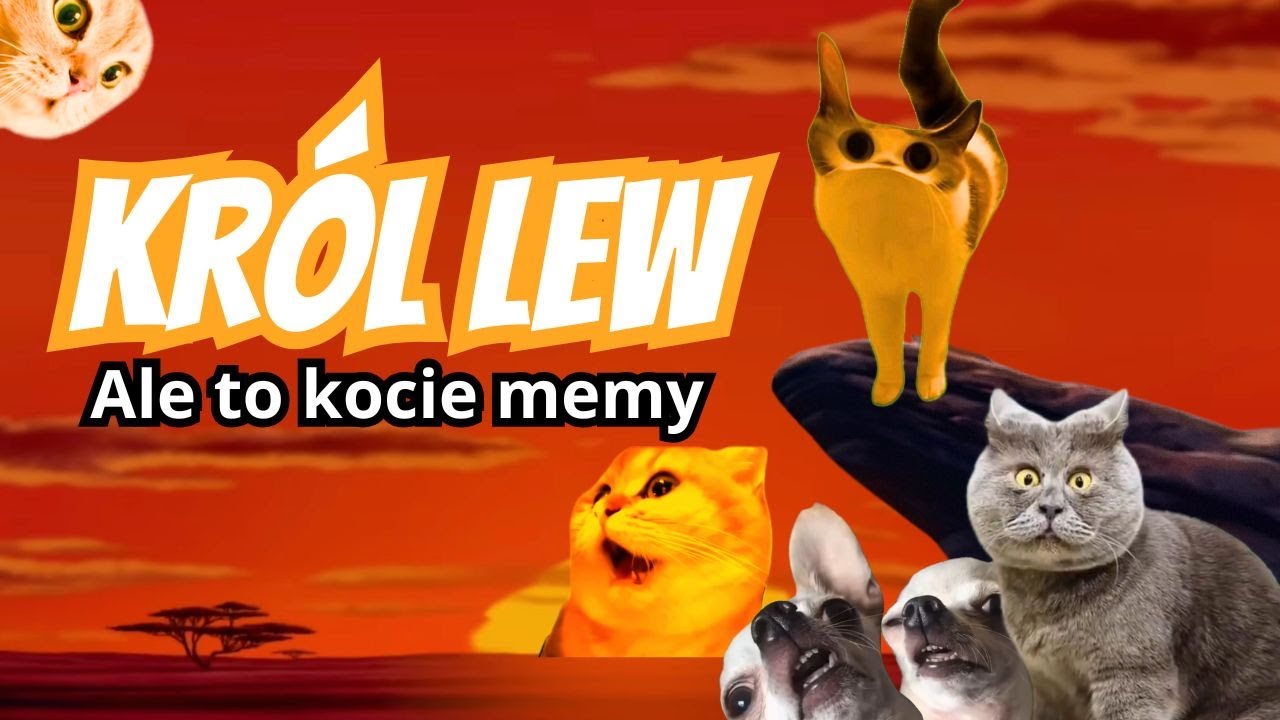 Król lew: Prawdziwa historia | Ale to kocie memy 😹 - YouTube