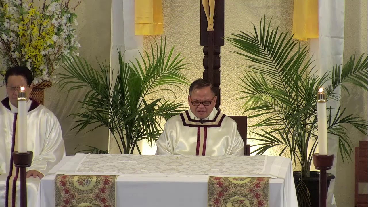 DAILY MASS - FR. MARIO - YouTube