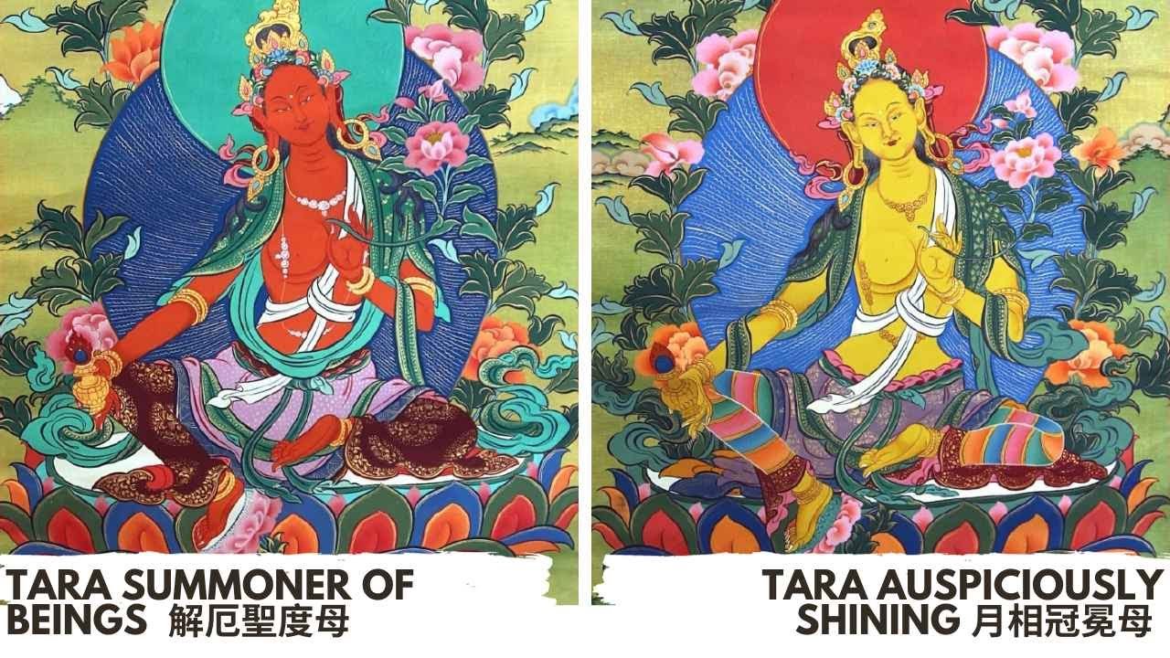 Brief Intro of the 21 Taras: Tara Summoner of Beings and Tara ...