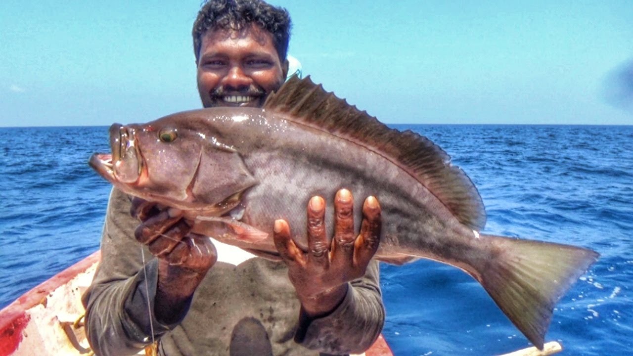 Big Snowy Grouper fish catching at deep sea - YouTube