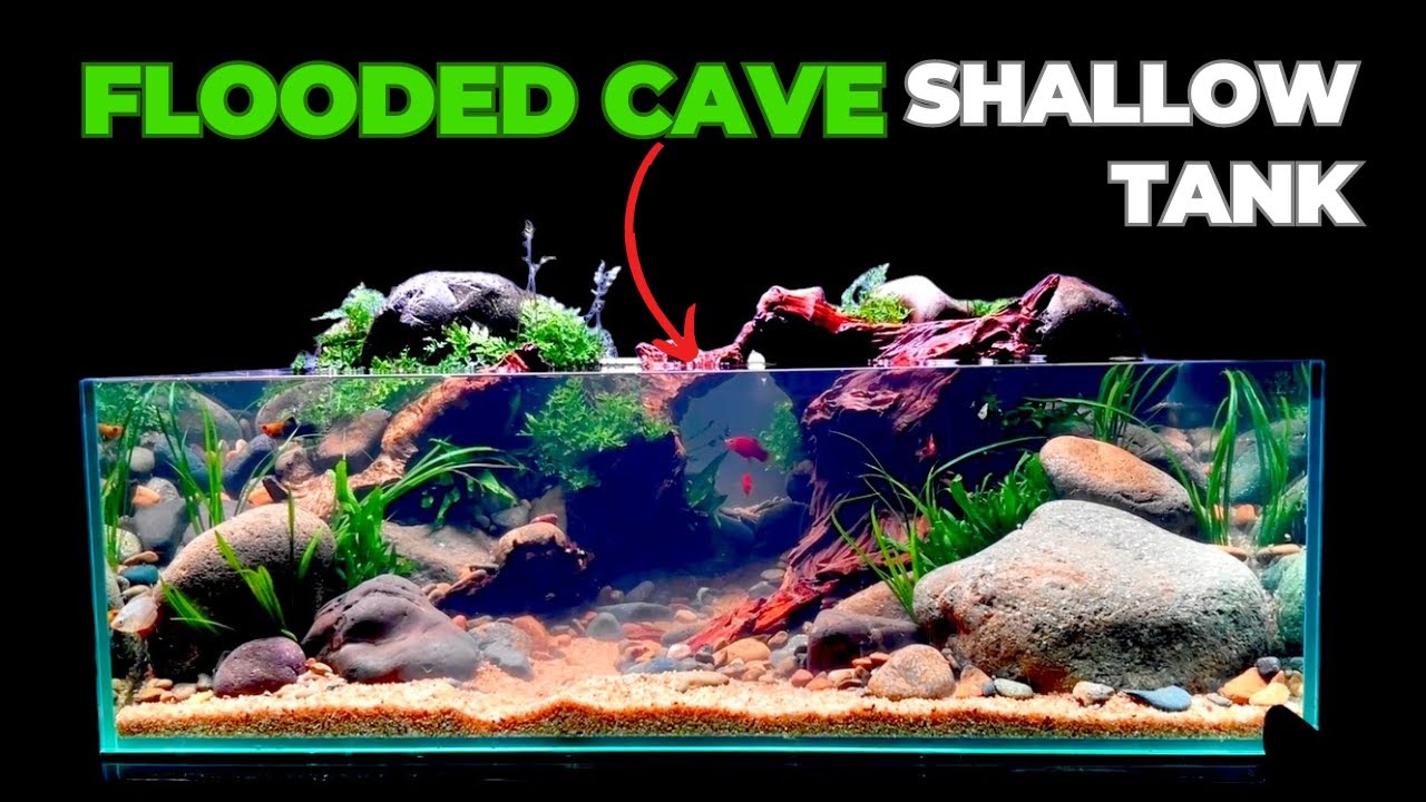 How To Make a Flooded Cave in Shallow Tank (Step by step Aquascape ...