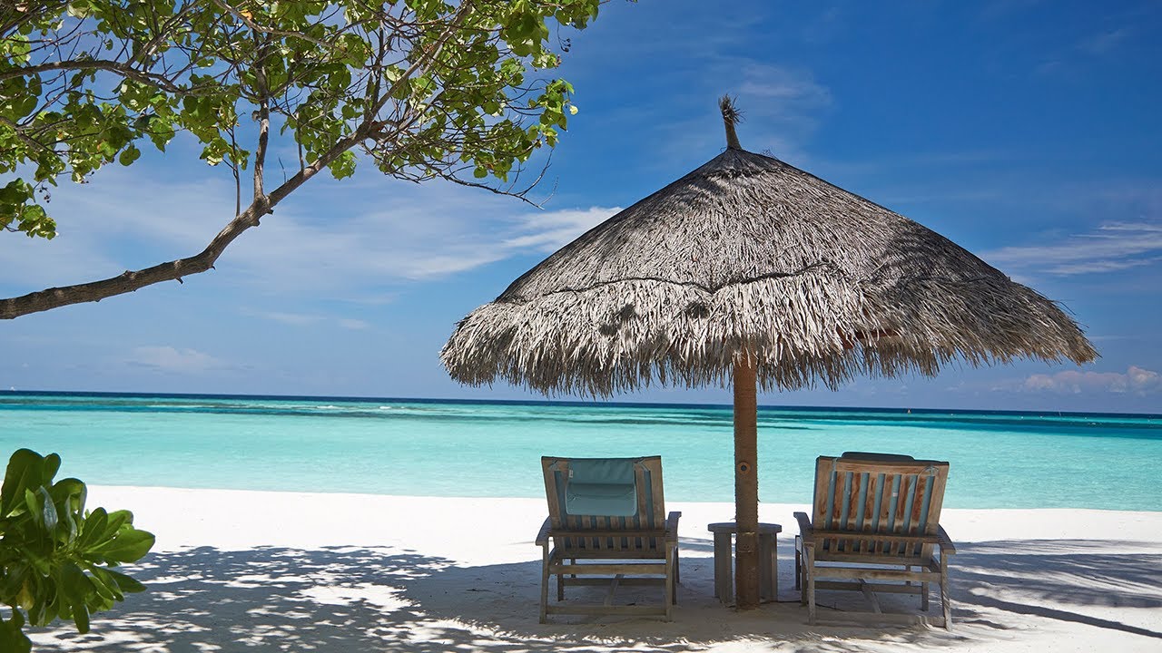 very peaceful day at the beach with korone - YouTube