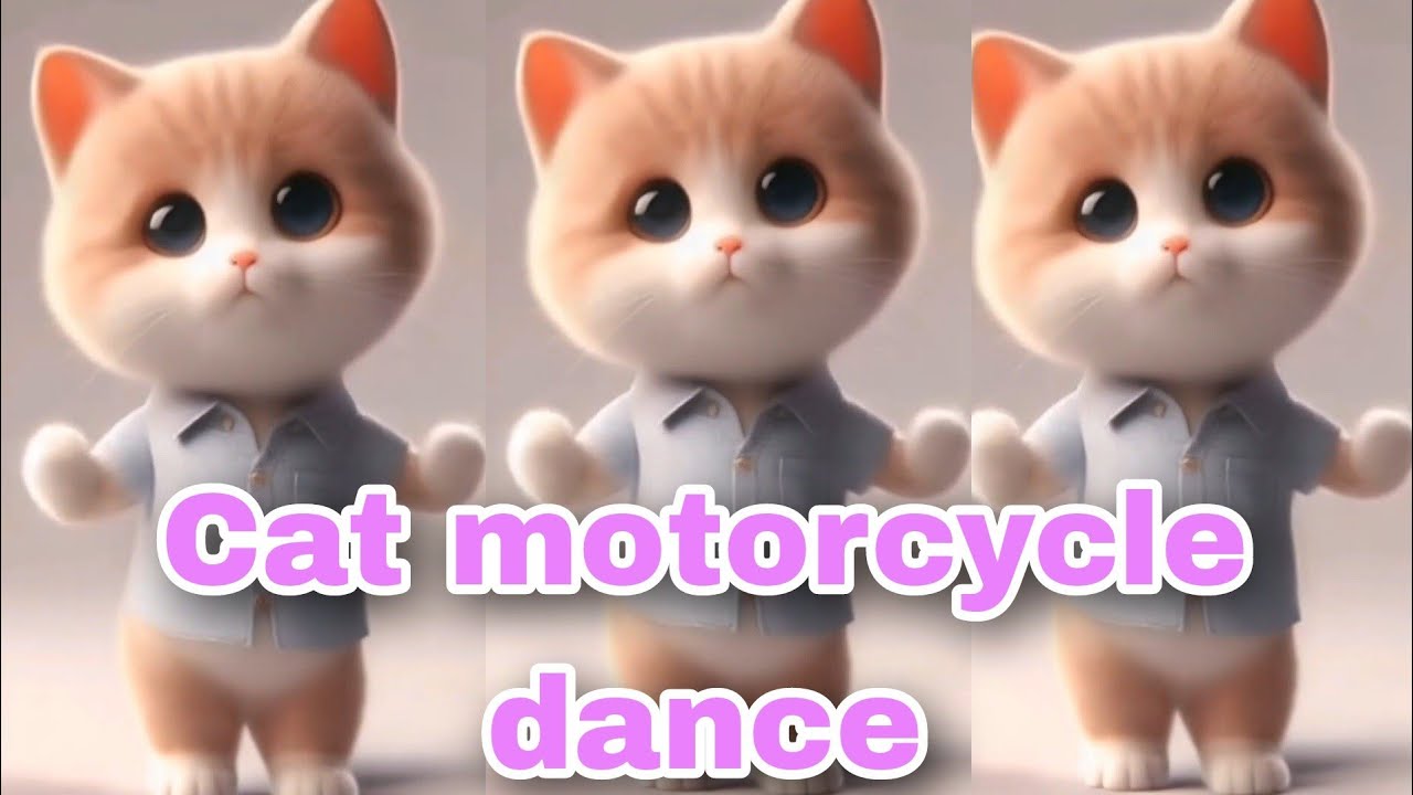 Cat motorcycle dance cute - YouTube