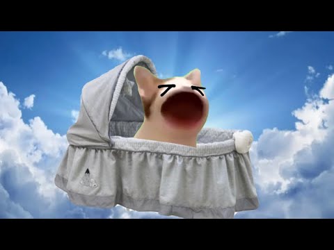 Rise Of PopCat Ep1: Birth Of A Legend