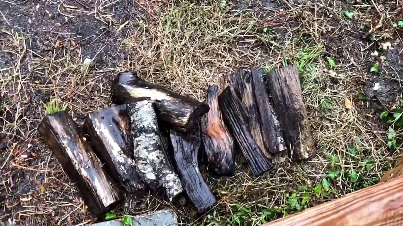 Wet Logs Test | Pull Start Fire - YouTube