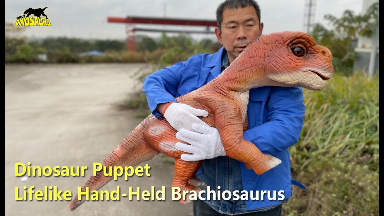 Dinosaur Puppets: False Arm Puppet Baby Brachiosaurus | Puppets - YouTube
