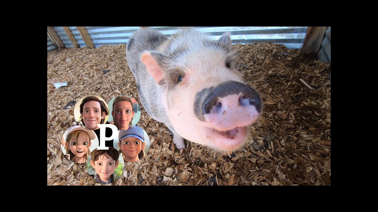 From The Archives: CORONAVIRUS 2020 Springtime Farms Fort Myers, FL ...