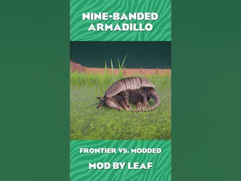 Nine-Banded Armadillo Mod vs. Frontier Comparison! | Planet Zoo ...