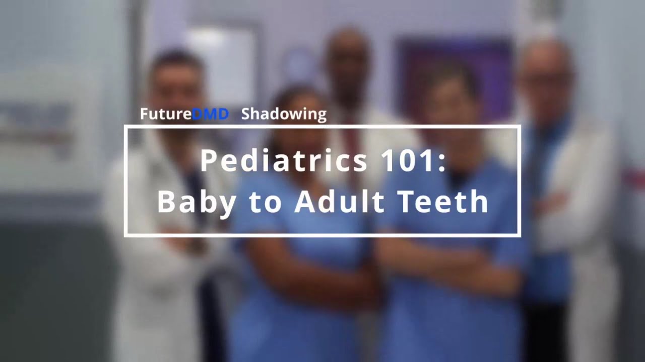 Pediatrics 101: Baby to Adult Teeth | Dental Shadowing 101 - YouTube