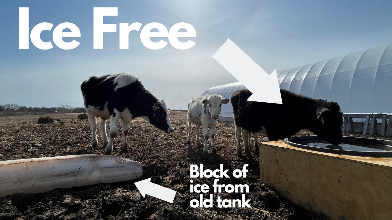 DIY Heated Stock Tank - YouTube