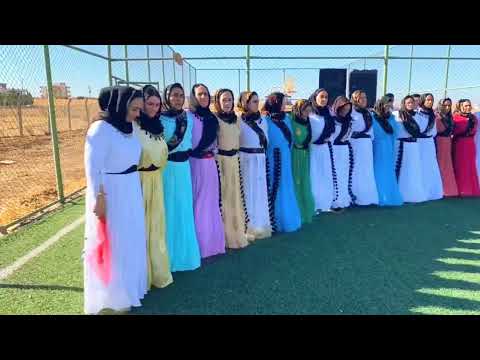 Koma Serdem muzik Raks hilavêtin 2024