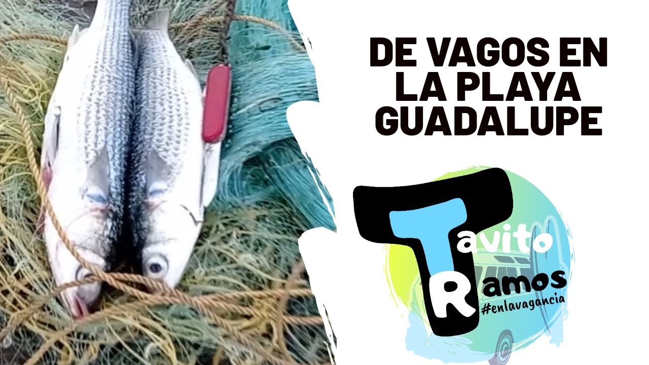 pesca con atarraya en la playa guadalupe - YouTube