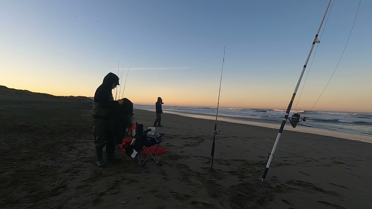 Crab Snaring Ocean beach with a Double Snare Prototype - YouTube