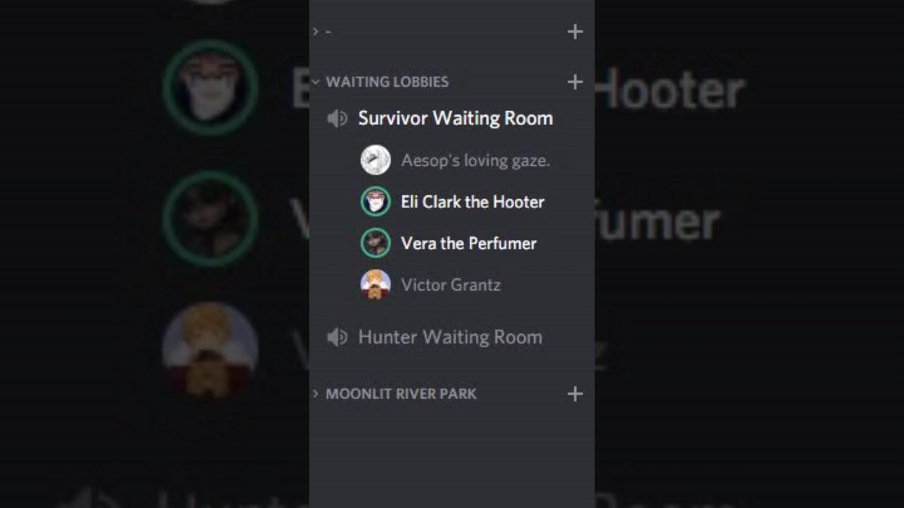 IDV Discord Edition - YouTube