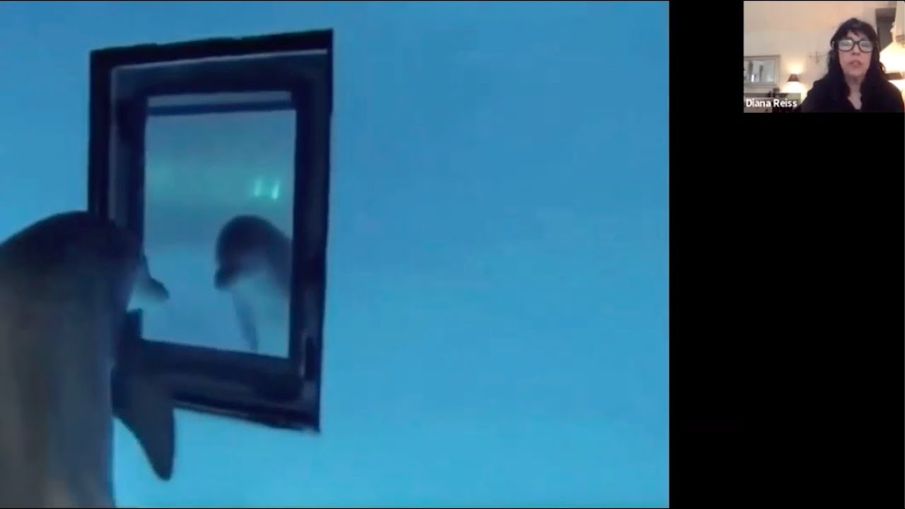 Hunter College Presents: Hunter@Home by Colleen Digney - YouTube