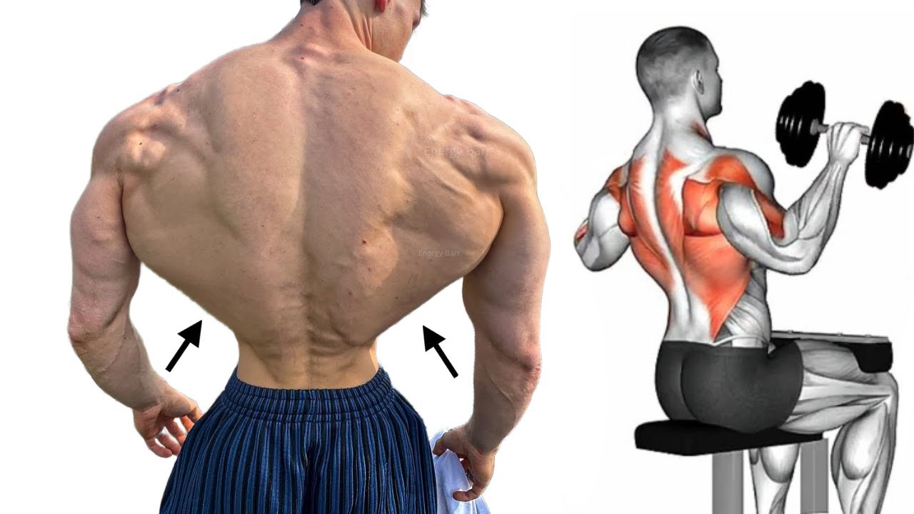 HOW TO GROW BEAST BIGGER BACK | DO THESE EXERCISES - YouTube