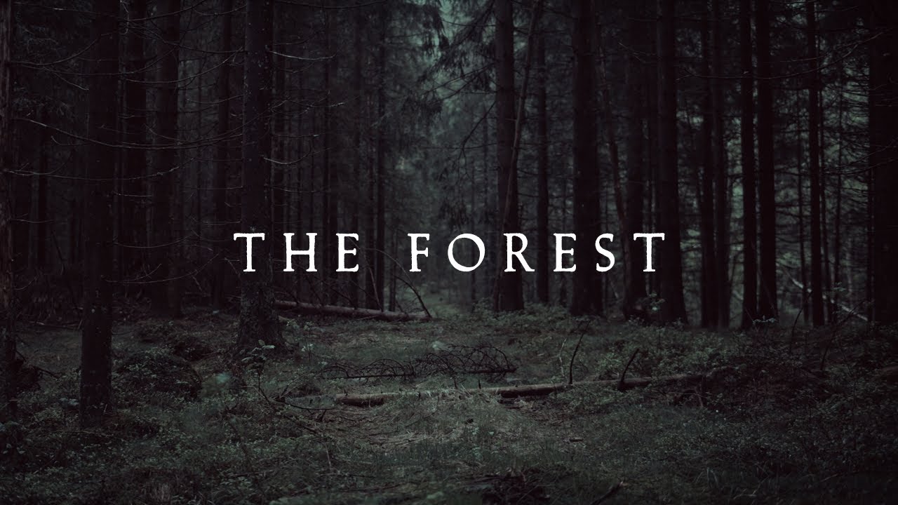 Haunted Forest Sounds | Ghostly Murmurs | ASMR | 2 Hours 🦇 - YouTube